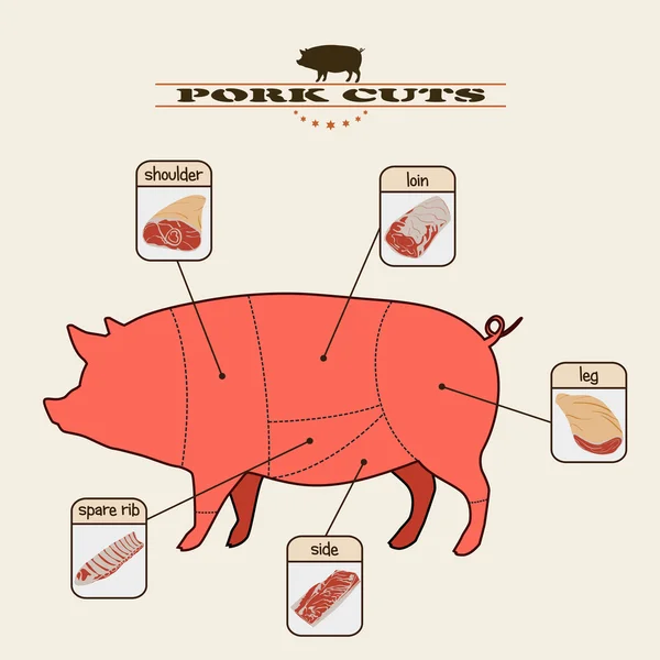821 Pork cuts Vector Images | Depositphotos