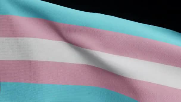 16 Transsexuality Videos, Royalty-free Stock Transsexuality Footage ...