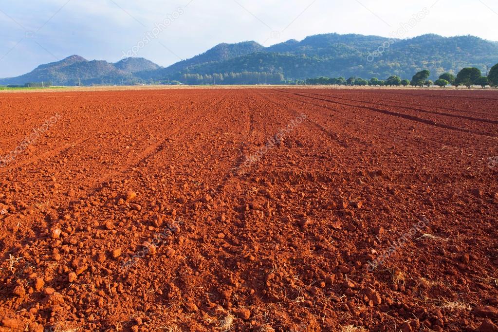 Laterite Soil