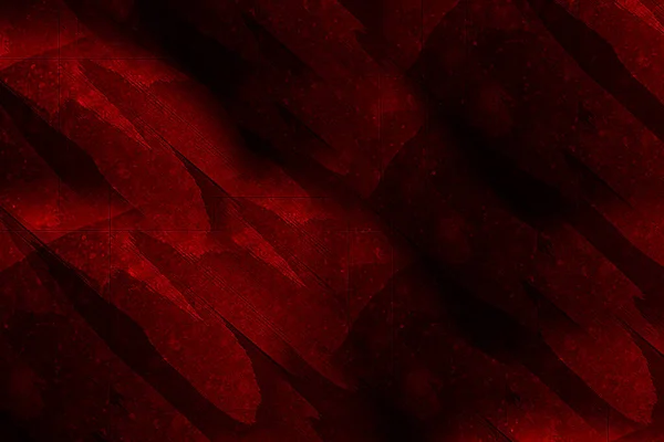 2048 x 1152 nasty banner Stock Photos, Royalty Free 2048 x 1152 nasty ...