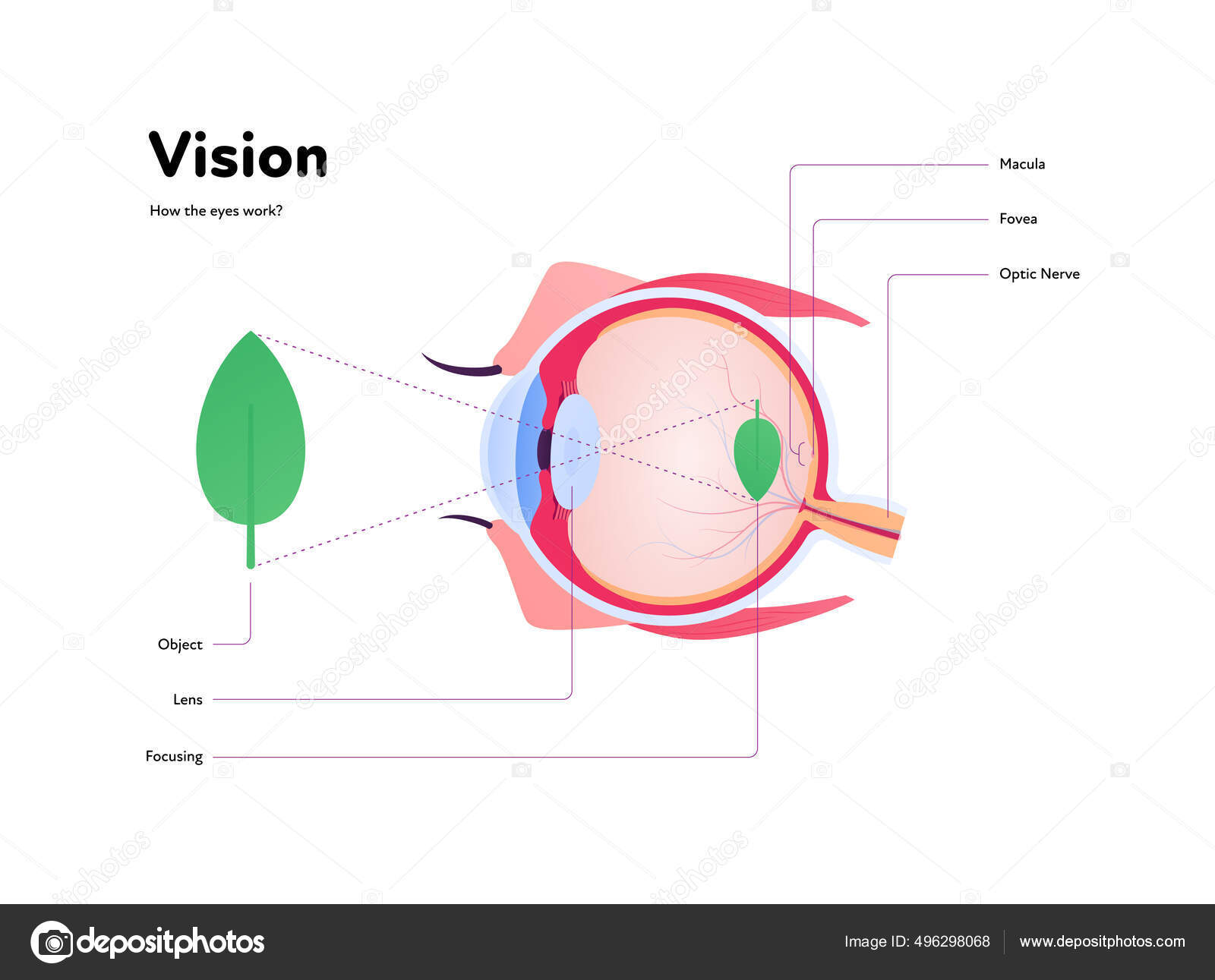 Side View Eye Diagram