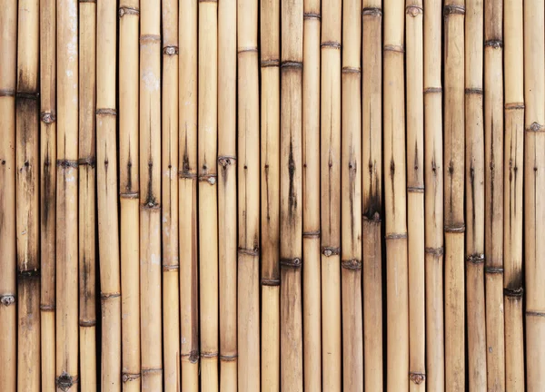 Bamboo wall texture Stock Photo by ©peshkov 71348523