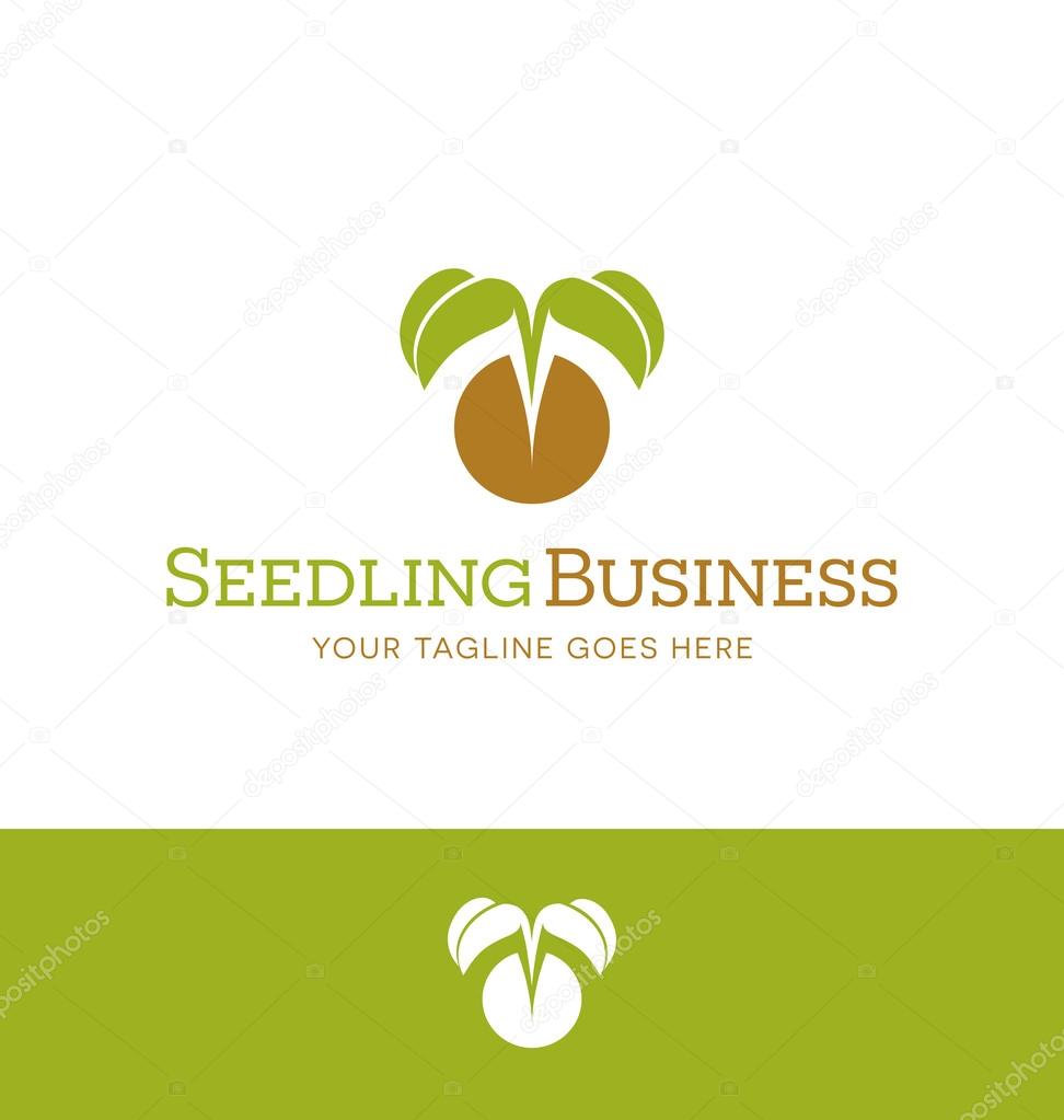 Seed Logo Design