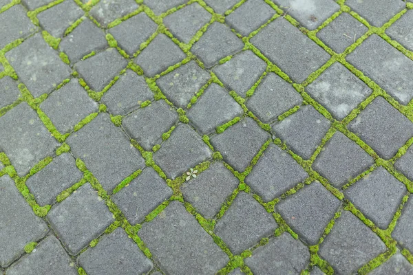 Crosswalk texture Stock Photos, Royalty Free Crosswalk texture Images ...