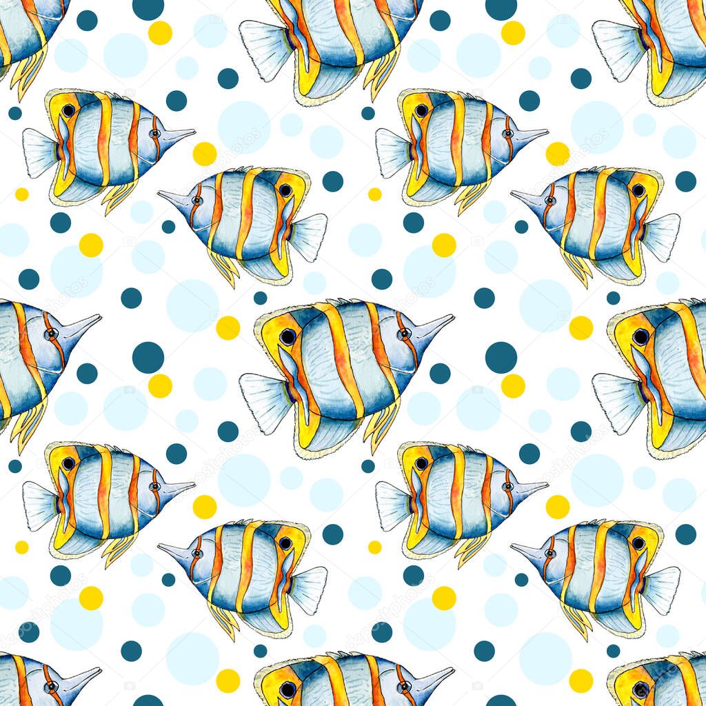 Chelmon rostratus fish. Hermosos peces tropicales brillantes pintados ...