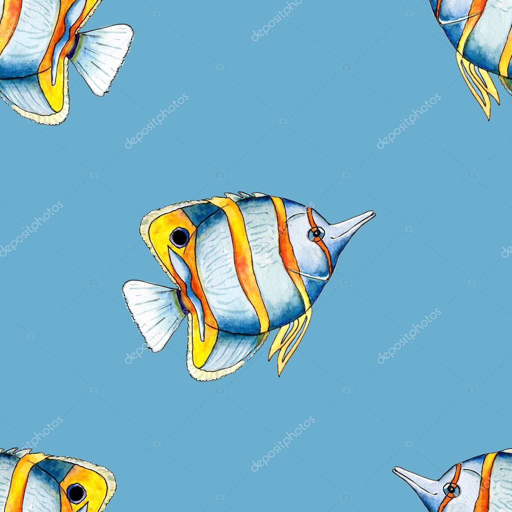 Chelmon rostratus fish. Hermosos peces tropicales brillantes pintados ...