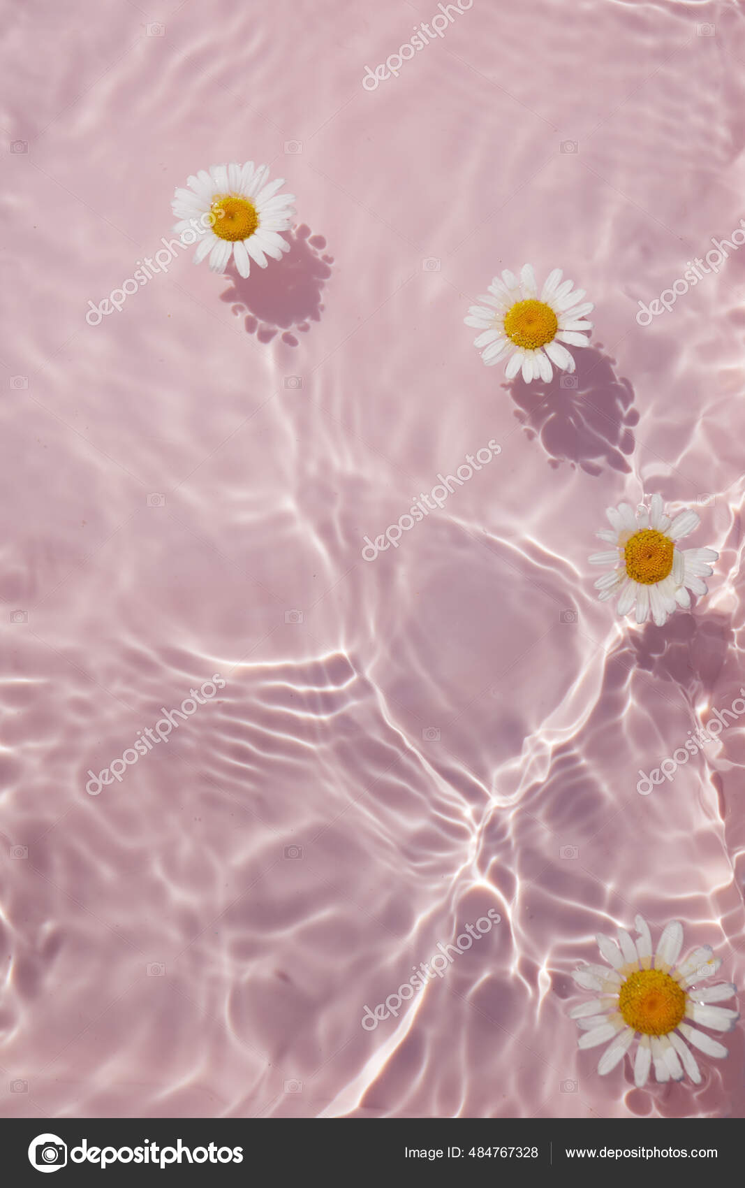 Flowers Floating In Water Wallpaper - Infoupdate.org
