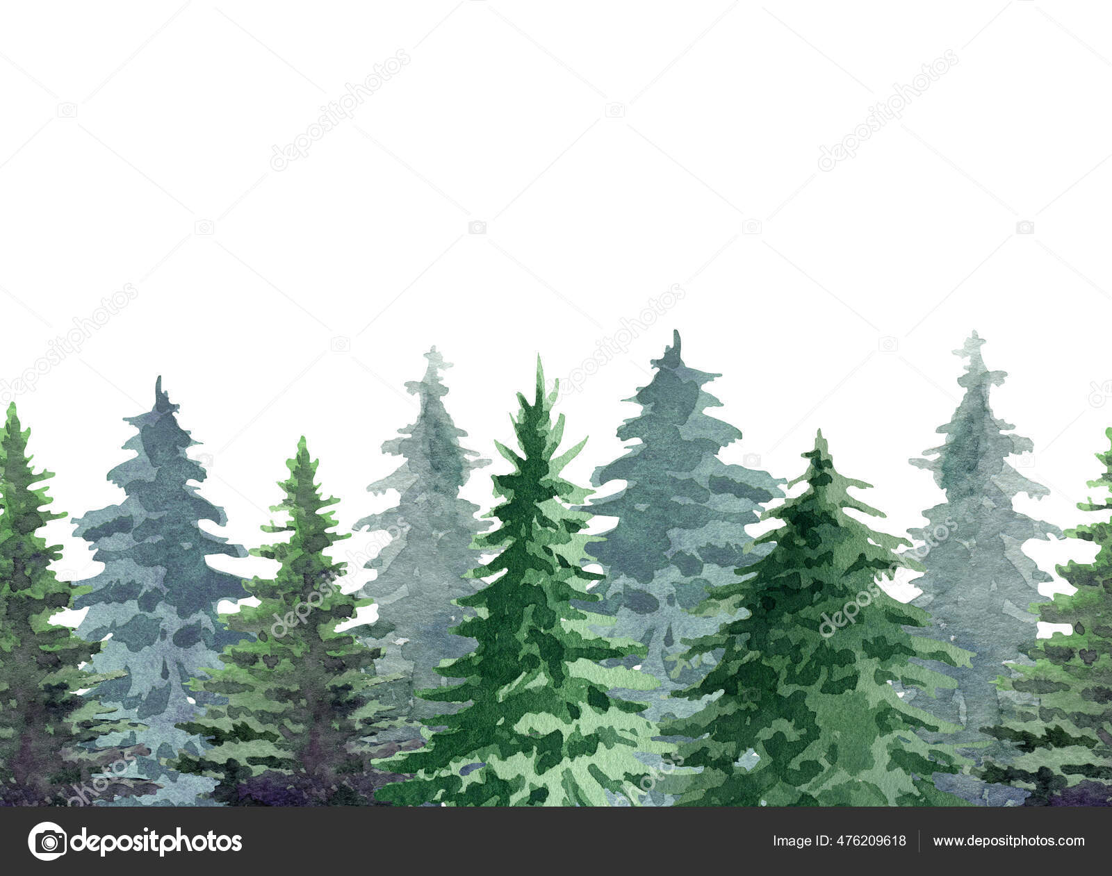 Pine Tree Border