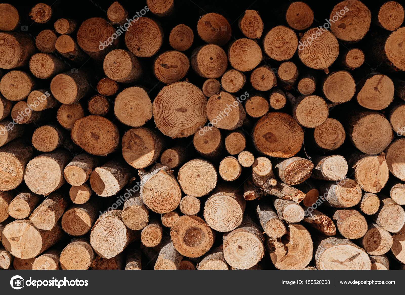 Wood Logs Storage Open Air Many Sections Logs Firewood Stacked — Stock ...