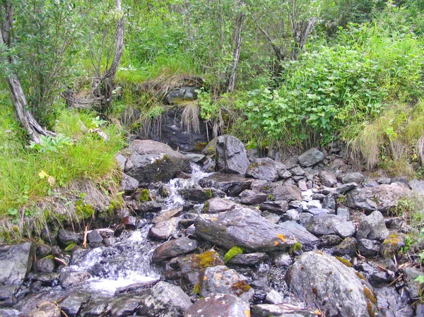 Natural water sources Stock Photos, Royalty Free Natural water sources ...