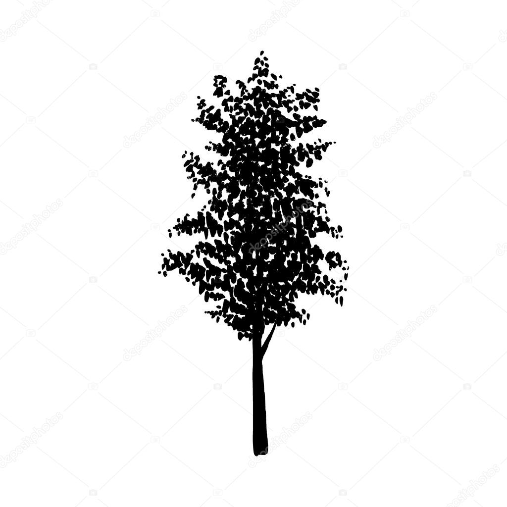 Woestijn Bioom Tekening