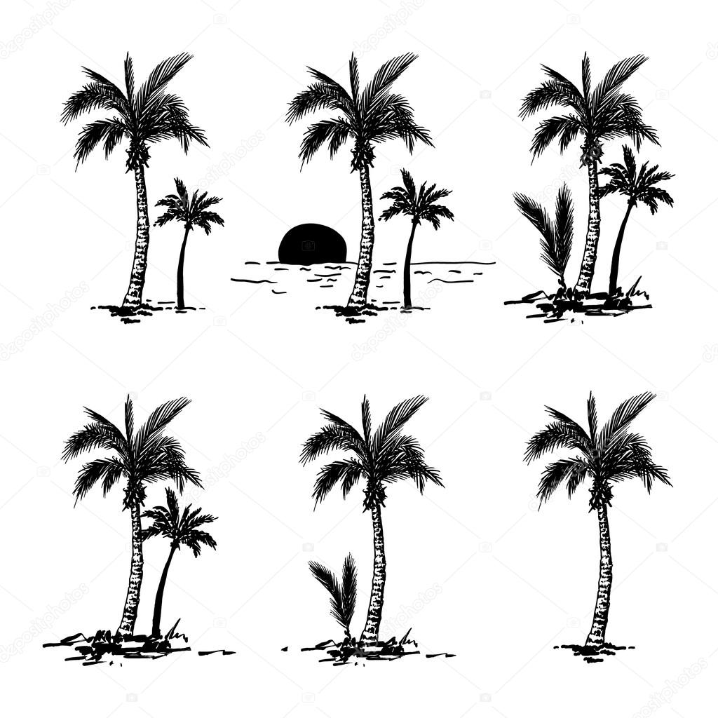 Hand drawn palm trees set Stock Vector Image by ©barkarola #121932100