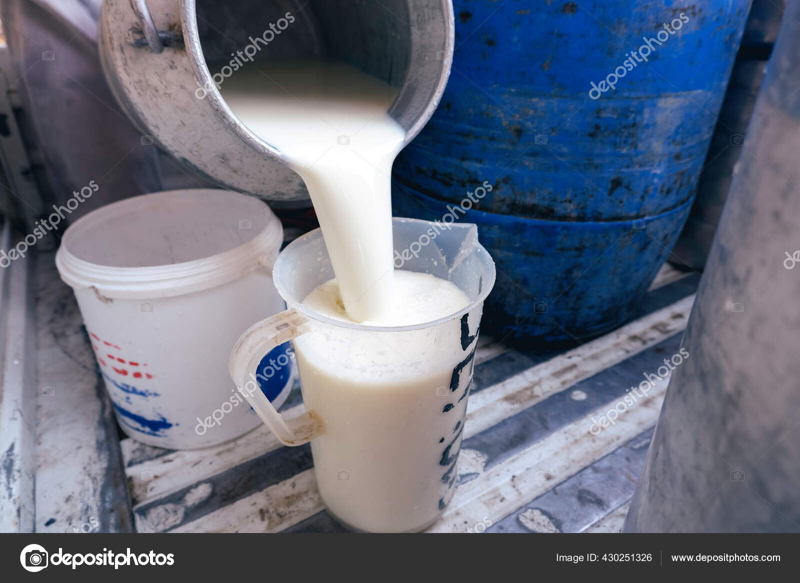 Farmer Pouring Raw Milk Dairy Farm Container Selling Industries Market ...