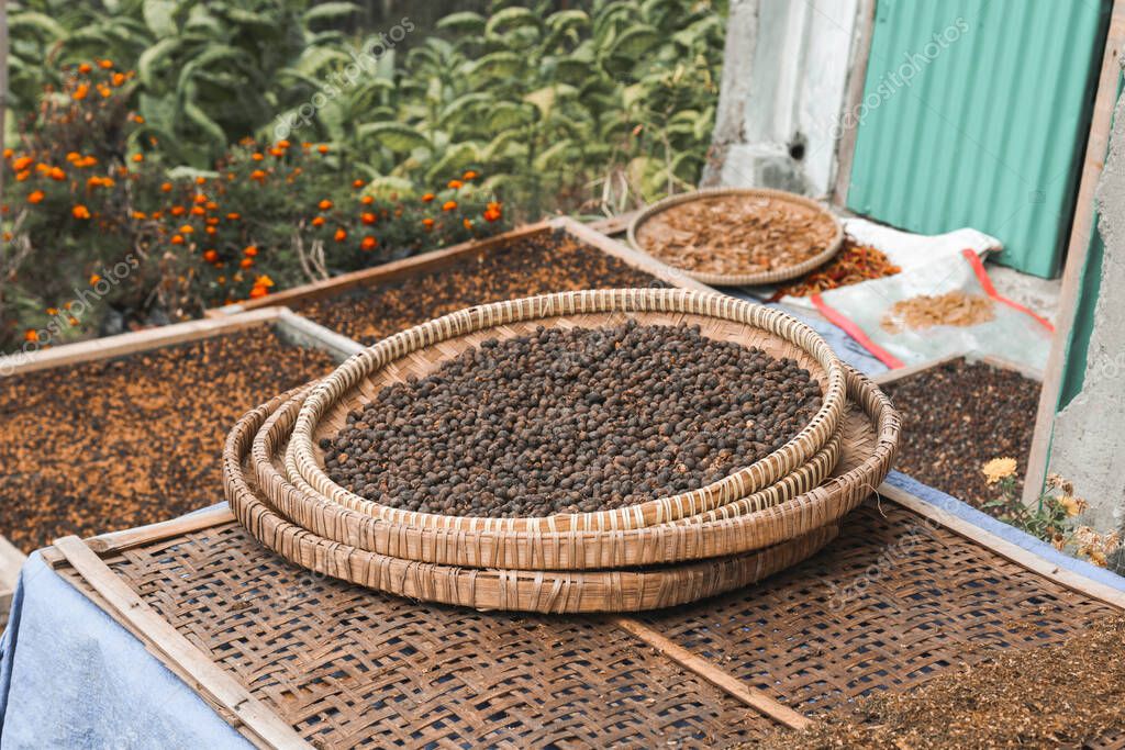 Los granos de caf se secan al sol en la canasta tradicional de ...
