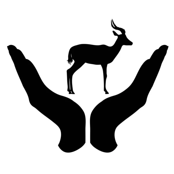 16,147,946 Springbok logo Vector Images | Depositphotos