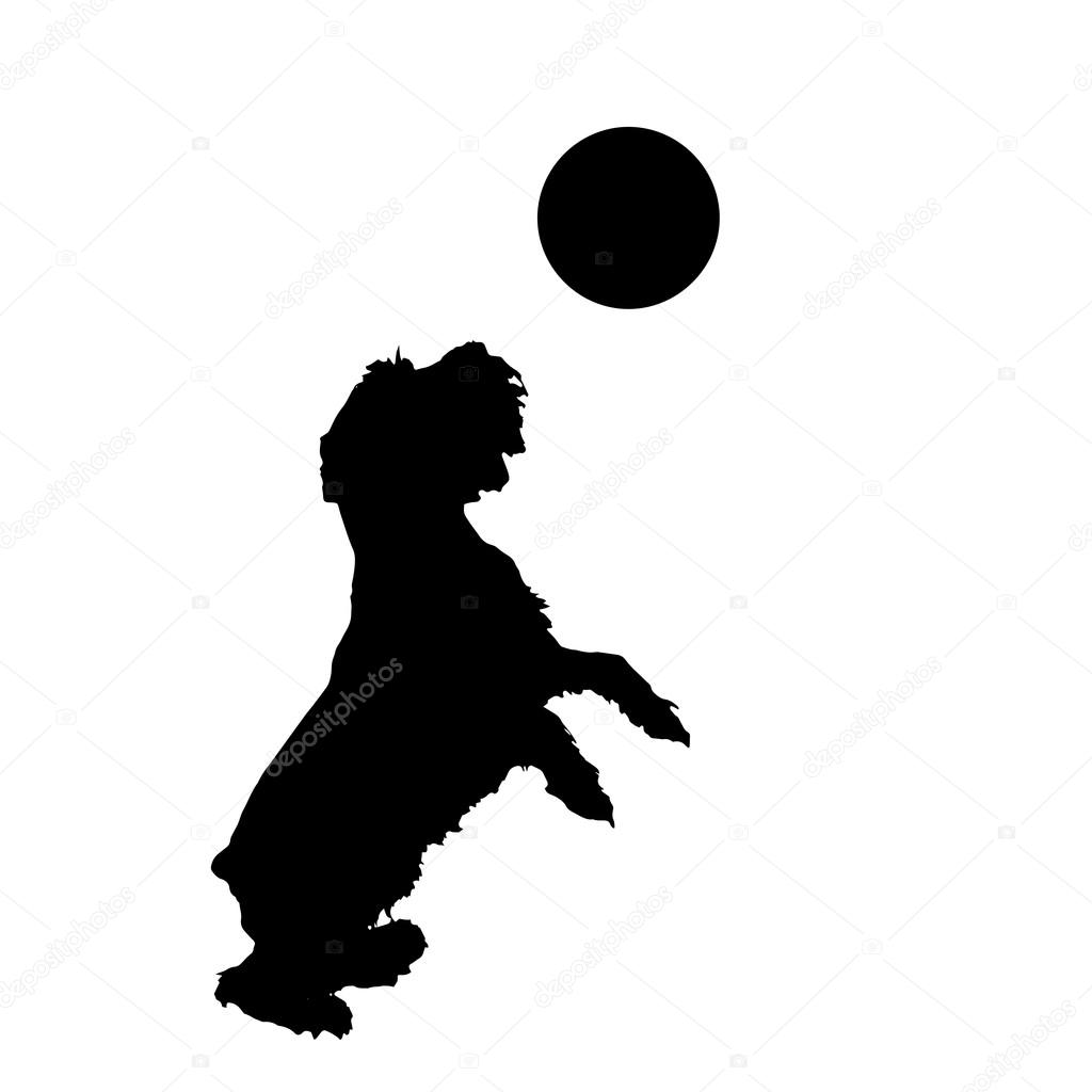 Playing Dog Silhouette