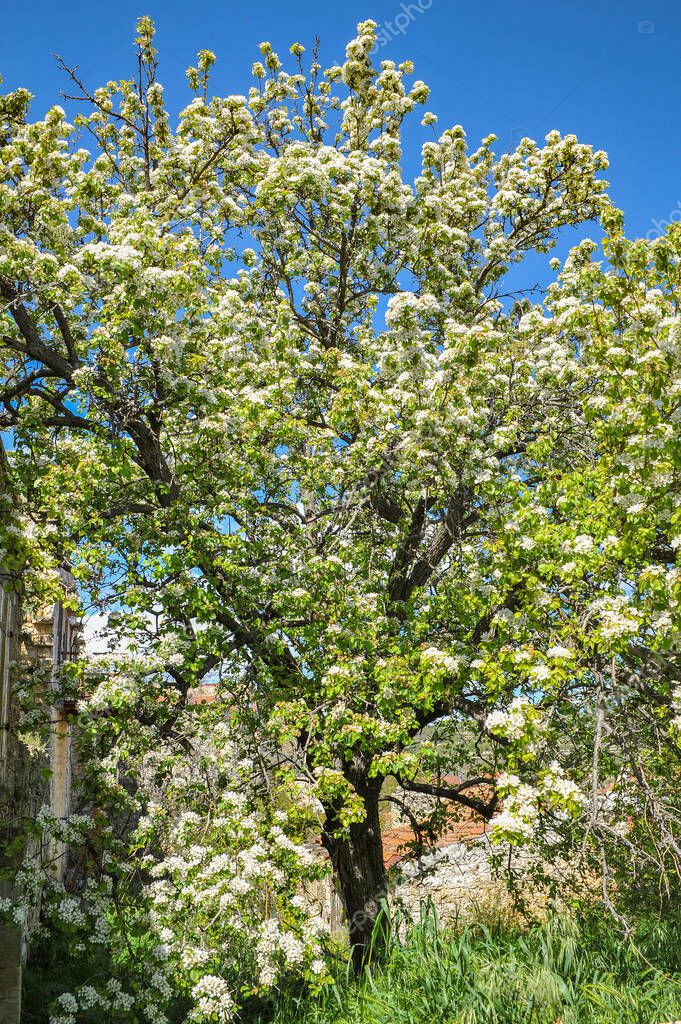 El pueblo de montaña de Lofu, conocido desde el siglo XIV, por su ...