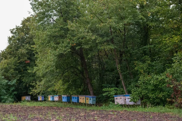 Beehive corner Stock Photos, Royalty Free Beehive corner Images ...