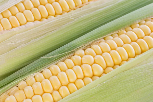Corn on the cob close-up shot - Stock Image - Everypixel