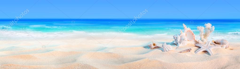 Seashells on seashore - beach holiday background — Stock Photo ...