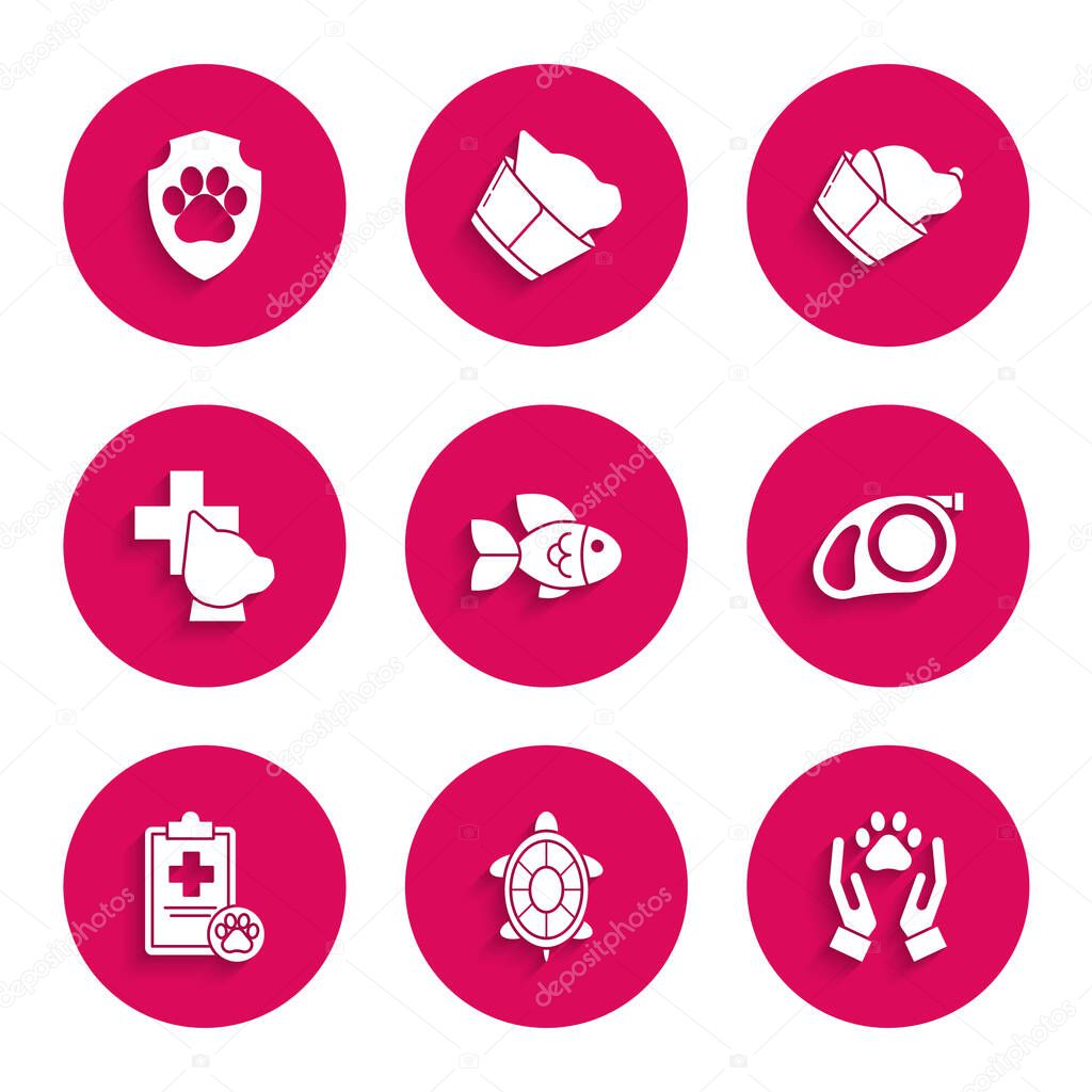 Set Peces Tortuga Manos con huella animal Cordón retráctil correa ...