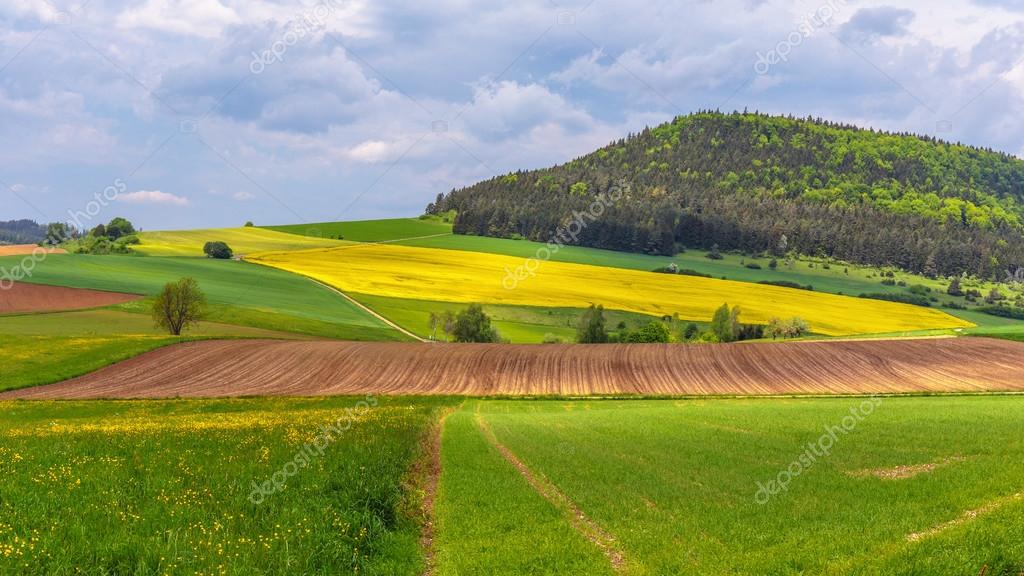 German Spring Countryside Landscape — Stock Photo © AndreasZerndl #74219981