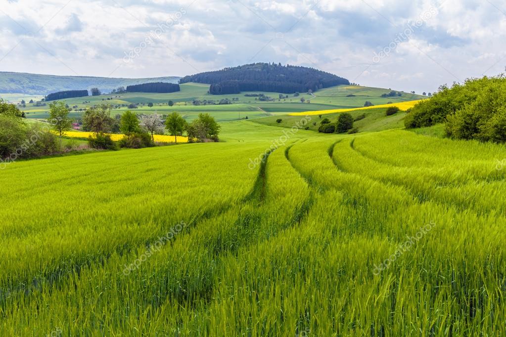 Pictures: germany landscape | German Spring Countryside Landscape ...