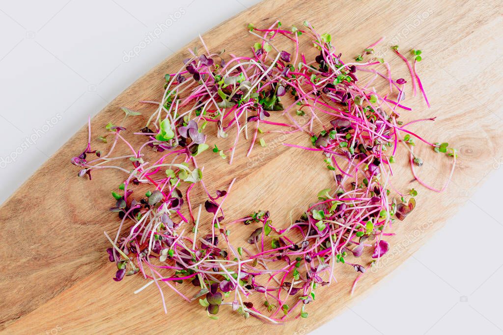 Diferentes tipos de micro verdes sobre fondo blanco. El concepto de ...