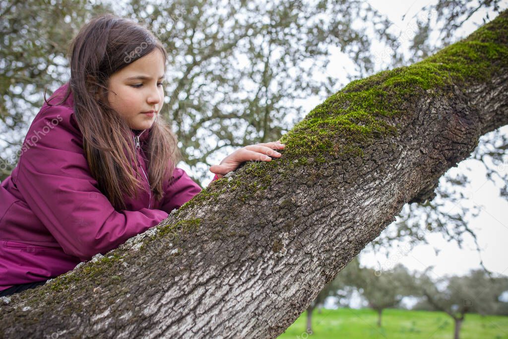 Niña sintiendo musgo de árbol sobre rama. Niños descubriendo texturas ...