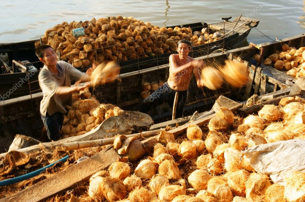 Asian worker, coconut, copra, material, Mekong Delta — Stock Editorial ...