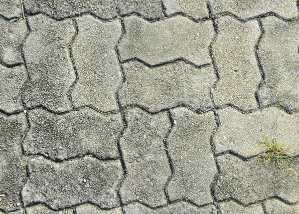Paver block texture Stock Photos, Royalty Free Paver block texture ...