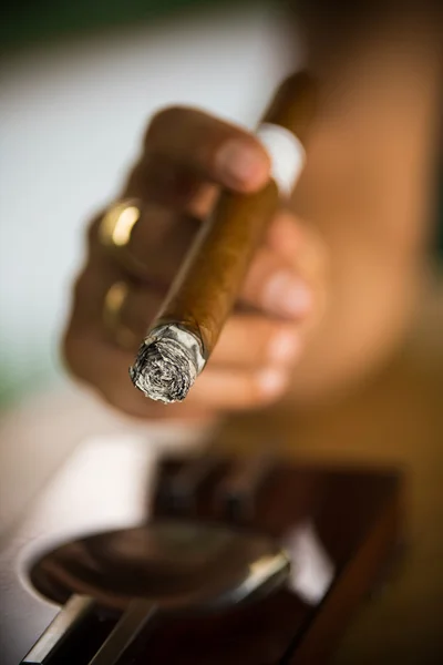 Cigar ash Stock Photos, Royalty Free Cigar ash Images | Depositphotos®