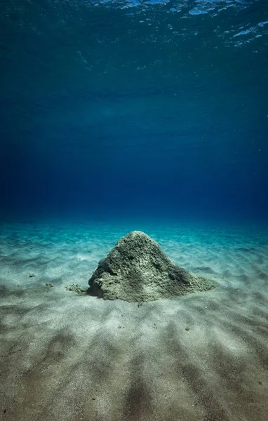 Underwater Ocean Rocks