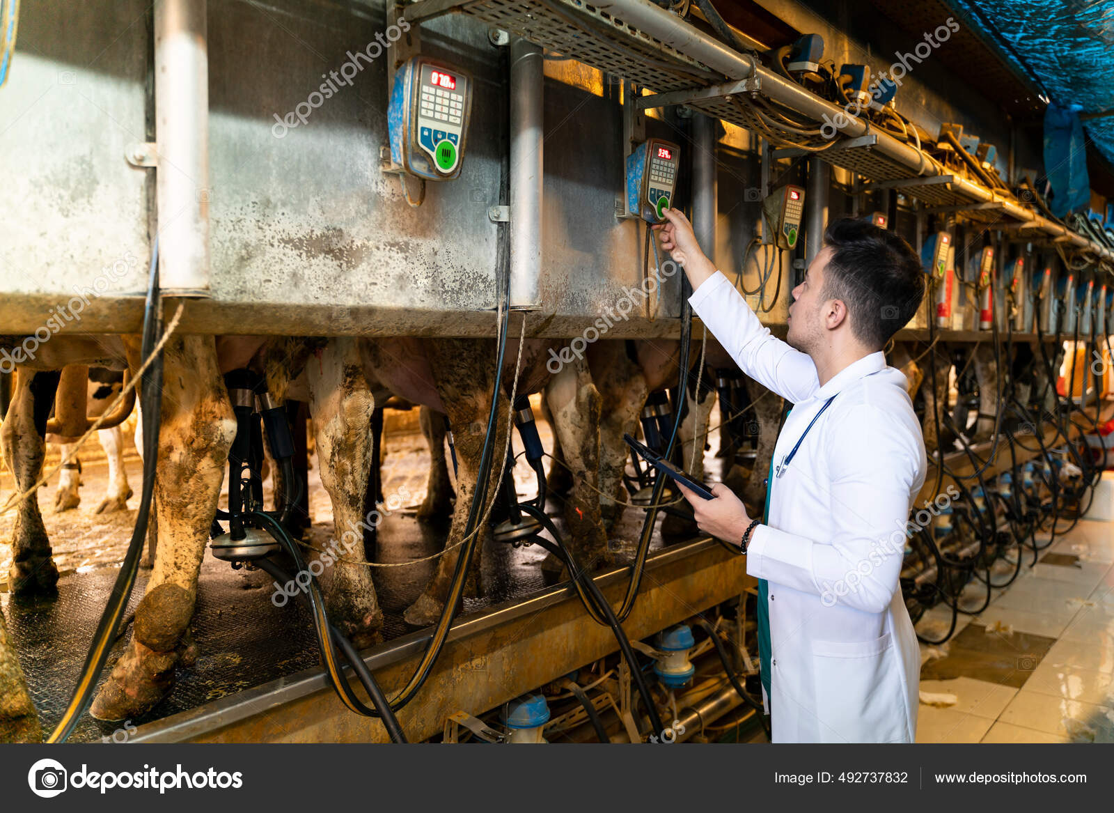 Veterinarian Controlling Milking Machine Stock Photo by ©bulentbaris ...