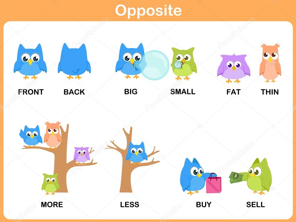 Opposite word for preschool — Stock Vector © aekikuis #58807187 Opposite word for preschool — Stock Vector © aekikuis #58807187