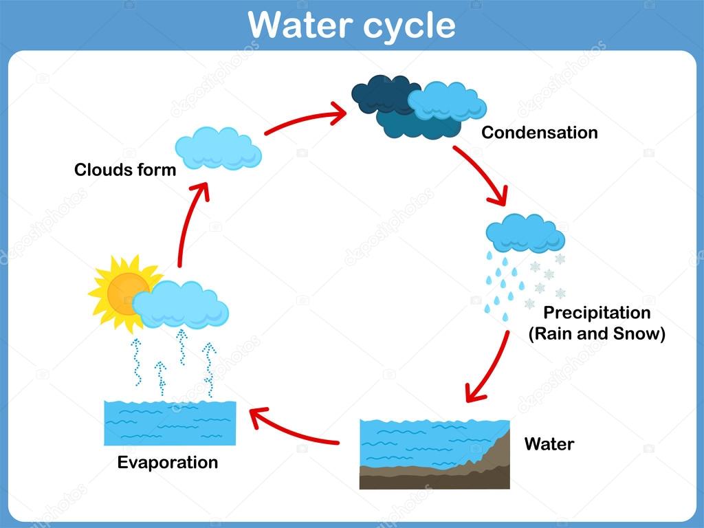 Vector Cycle of water for kids Stock Vector by ©aekikuis 58807601 Vector Cycle of water for kids Stock Vector by ©aekikuis 58807601