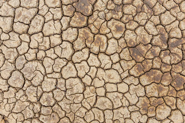 Desert Ground Texture