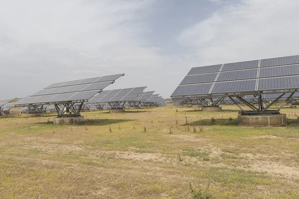 Solar plants Images - Search Images on Everypixel