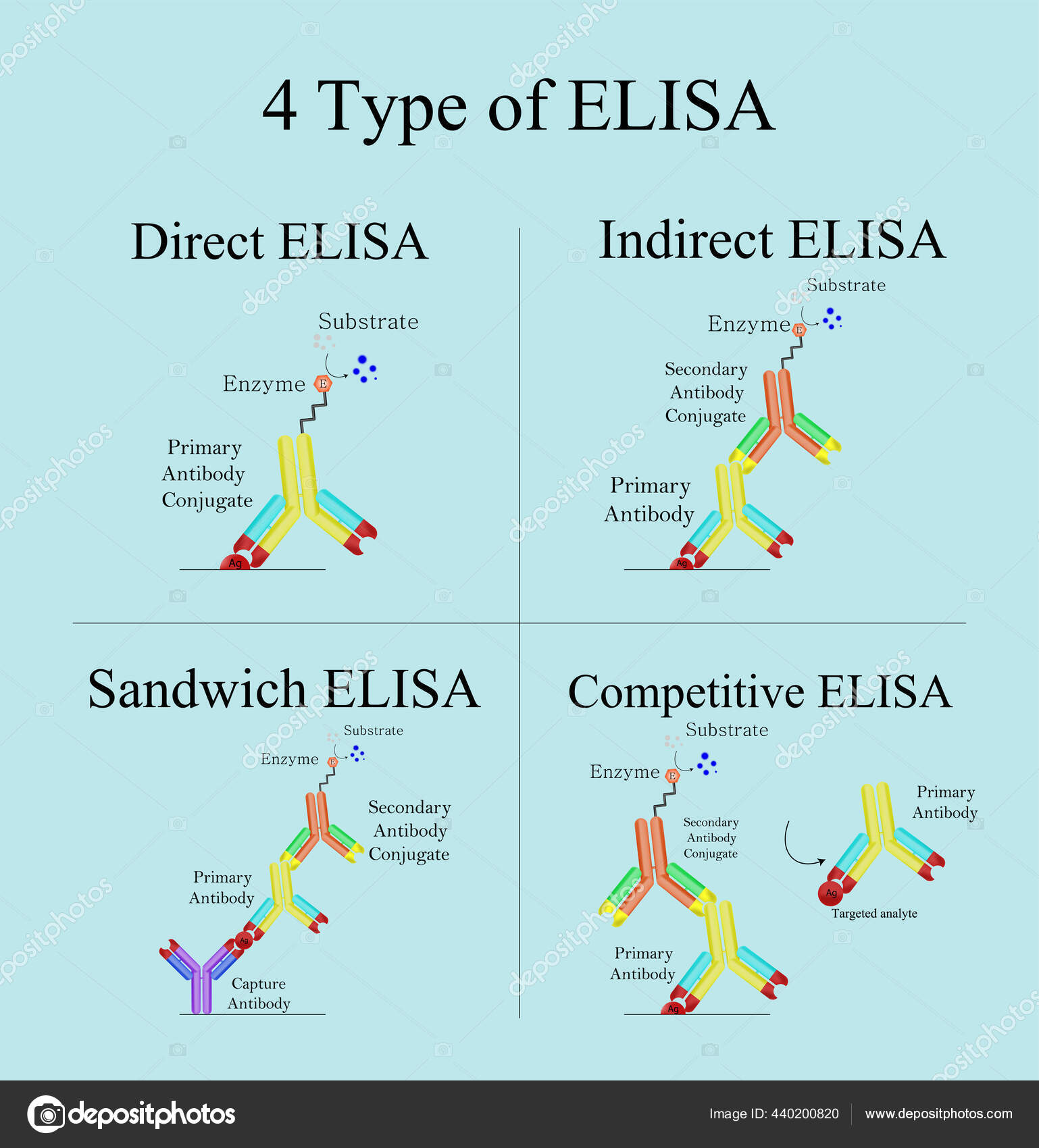 Direct Elisa Diagram