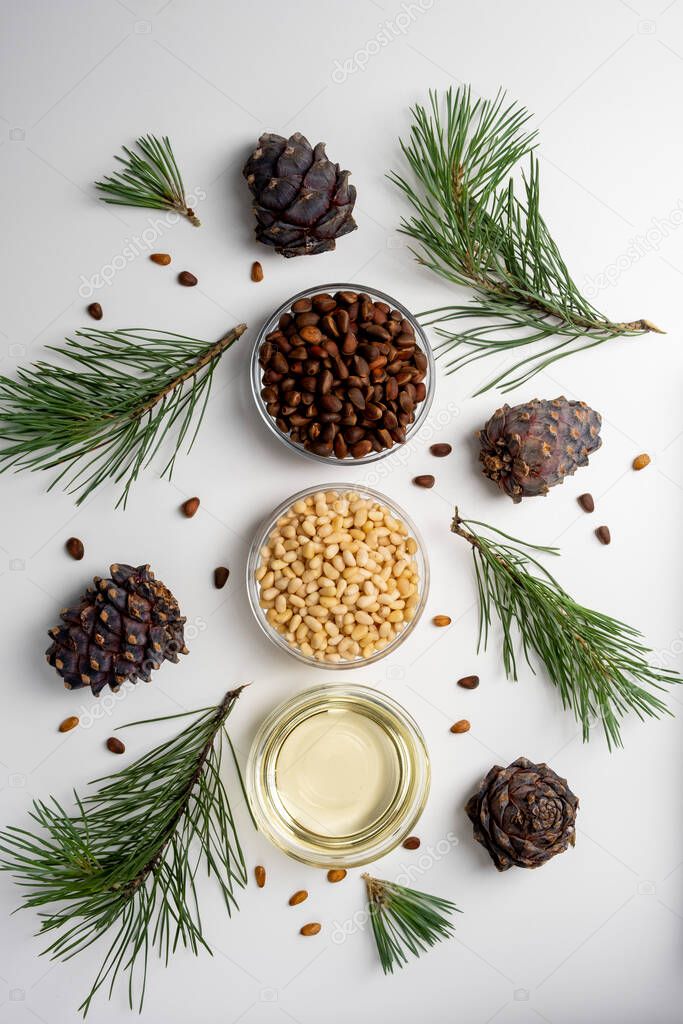 Aceite de piñones con piñones pelados y conos de pino sobre blanco 2022