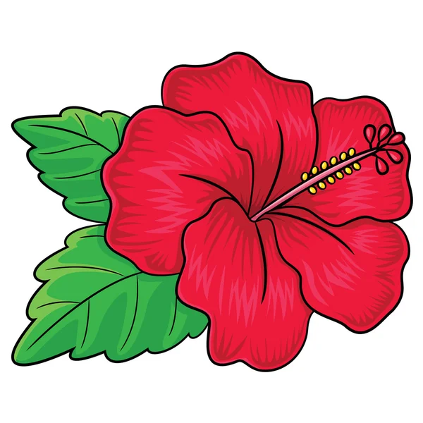 Hawaiian Hibiscus Flower Stock Vector Image By ©stockakia 188546314