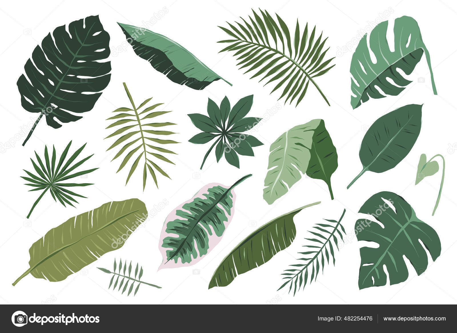 Jungle Leaves Clip Art