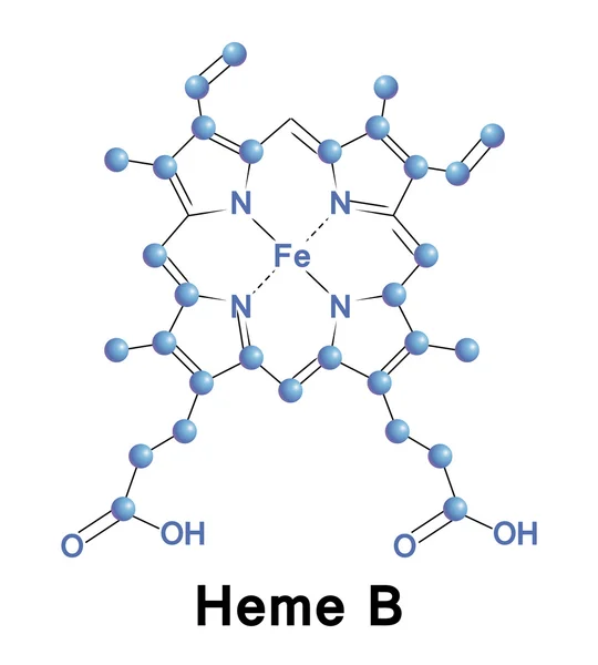38 Heme structure Vector Images | Depositphotos