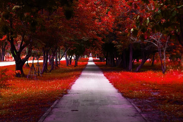 Red walkway Stock Photos, Royalty Free Red walkway Images | Depositphotos