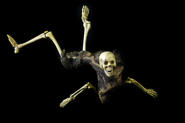 Disney pocahontas wrestling defeated skeleton stepping over chest fotos ...