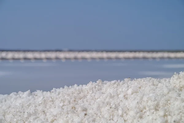 Sea salt drying Stock Photos, Royalty Free Sea salt drying Images ...