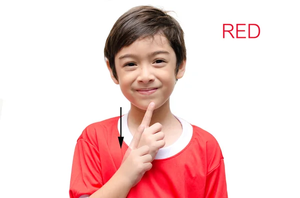 Please kid hand sign language on white background Stock Photo by ©wckiw ...