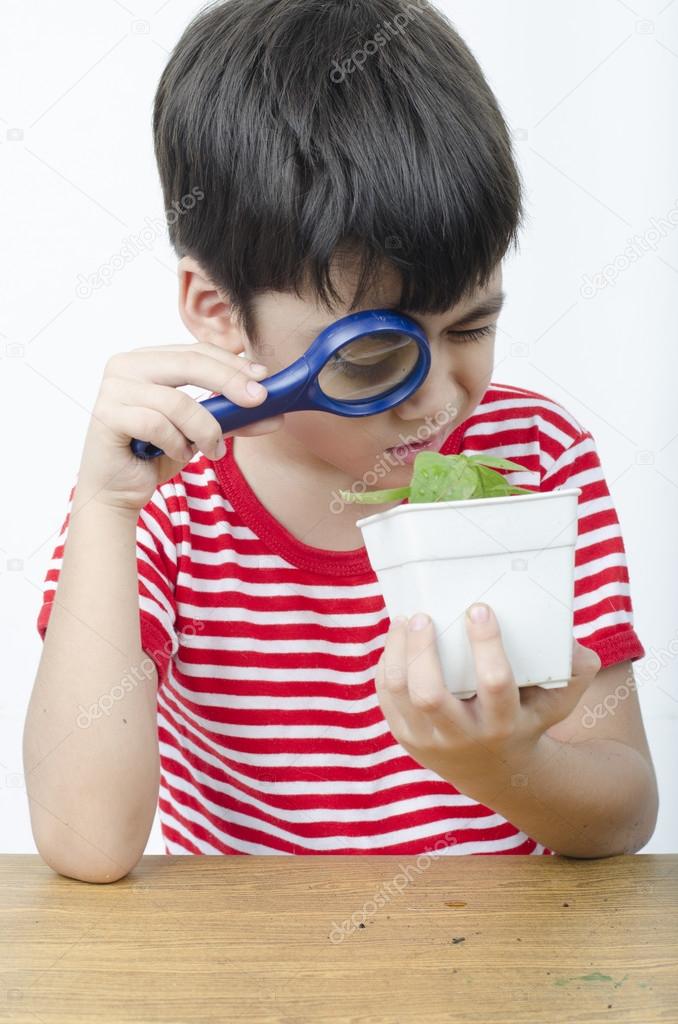 Niño pequeño usando lupa viendo nueva planta en fondo blanco 2024
