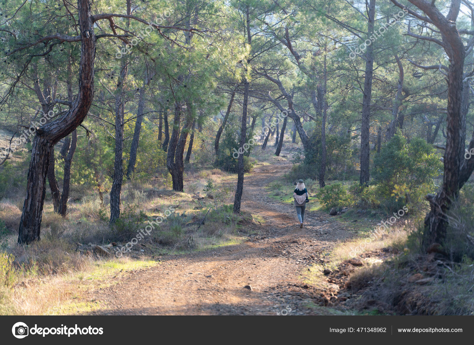 View Natural Park Tracking Path Likya Yolu South Turkey Antalya — Stock ...