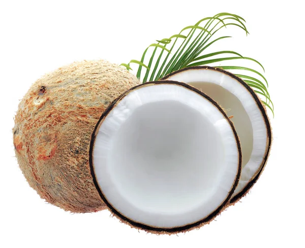 Coco tierno fotos de stock, imágenes de Coco tierno sin royalties ...